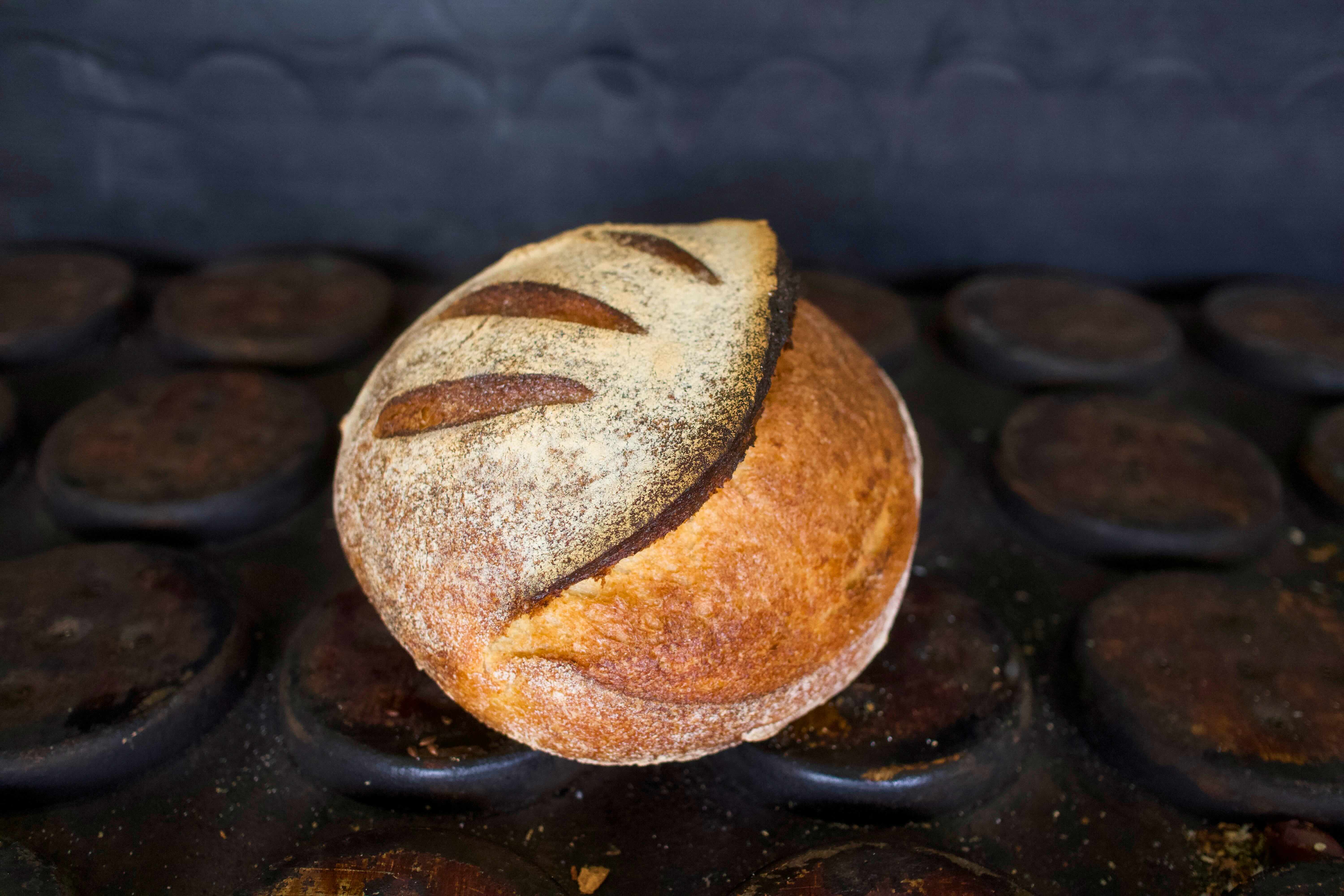 Wholemeal Sourdough – Bread Social